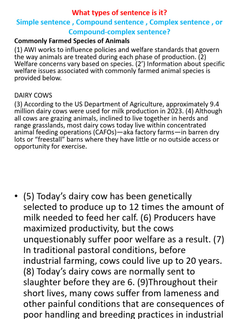 Types of Sentence-Practice | PDF | Dairy Farming | Dairy Cattle