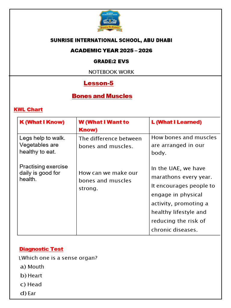 Lesson 5 Bones and Muscles (Notebook Work) | PDF | Bone | Healthy Diet