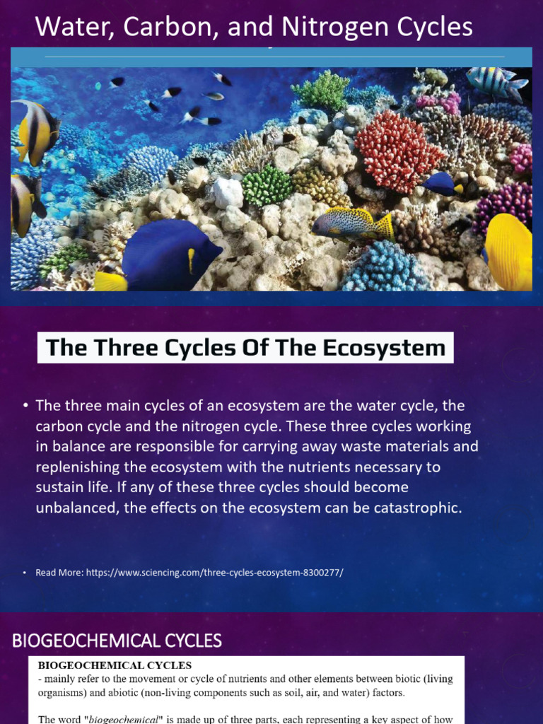 Water, Carbon and Nitrogen Cycles Hydrology | PDF | Carbon Cycle ...