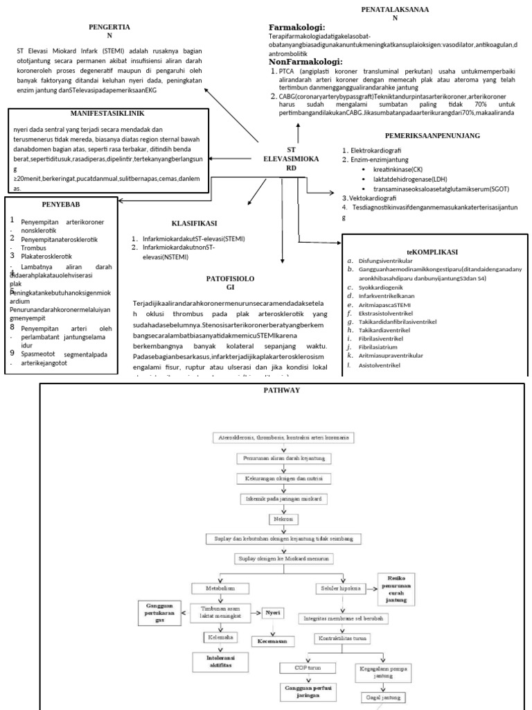 Lp Stemi Ida Igd | PDF
