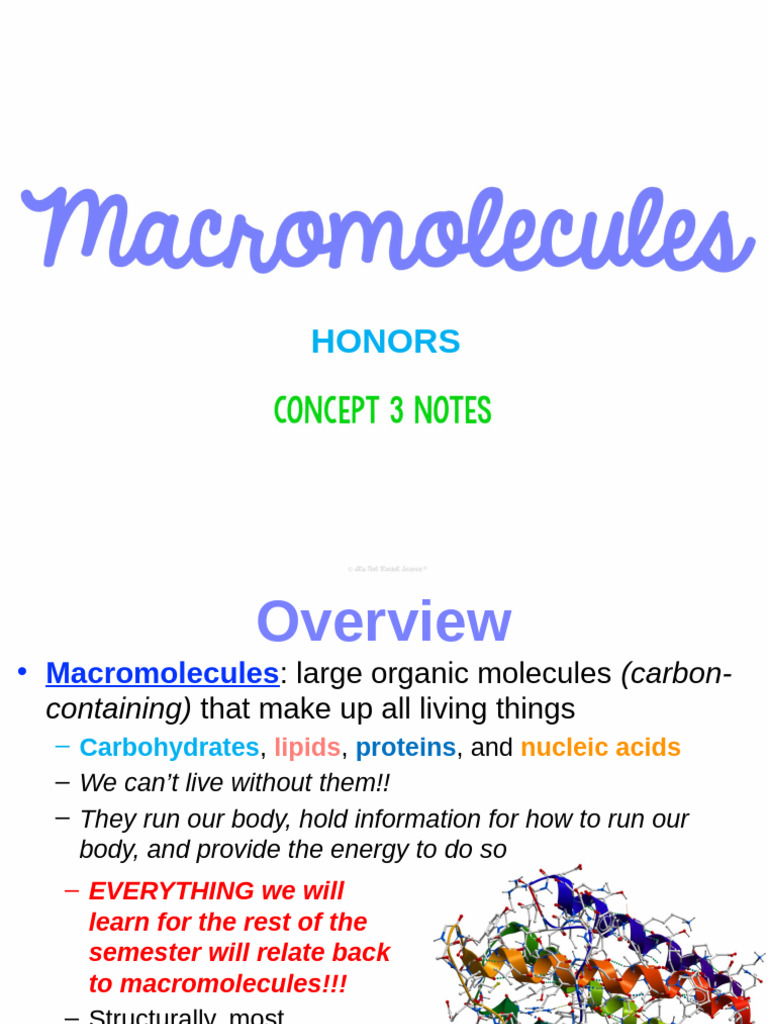 (Template) Honors Concept 3 Notes - Macromolecules | PDF ...