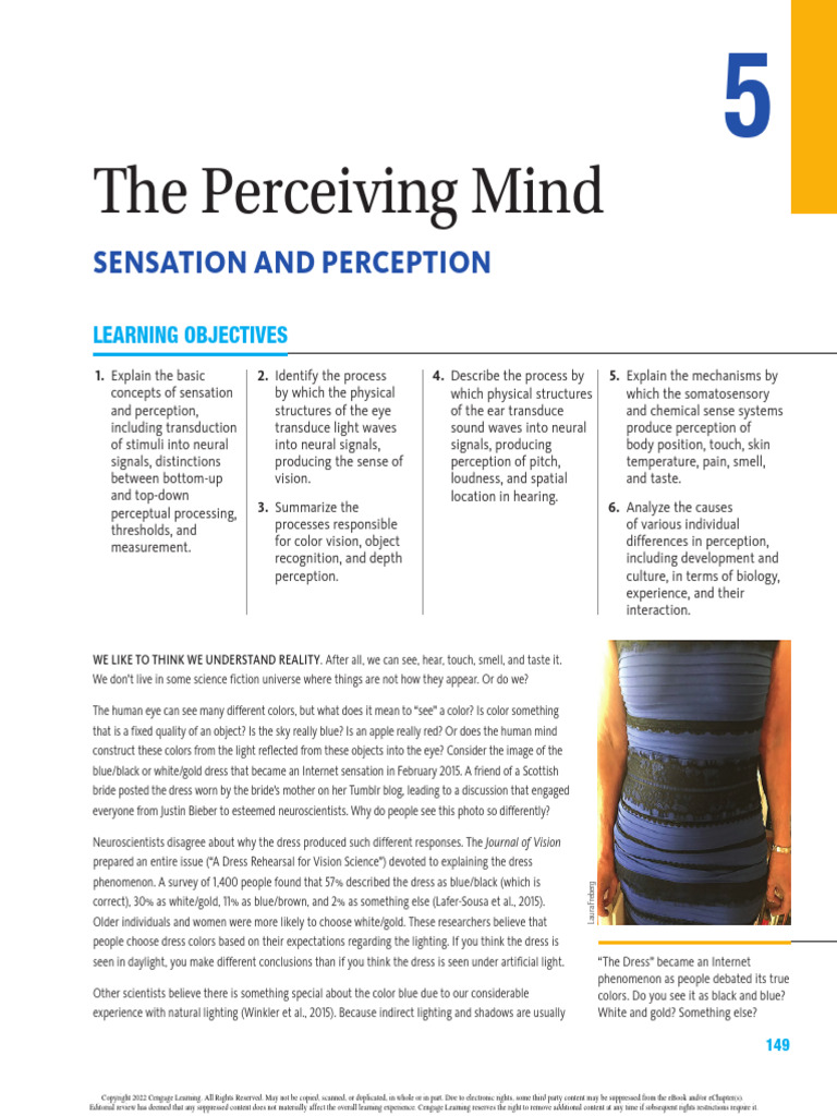 Understanding Sensation and Perception | PDF | Senses | Perception