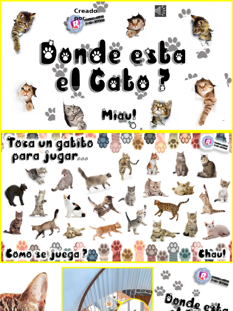 22 Donde Esta El Gato (Para Ver) | PDF