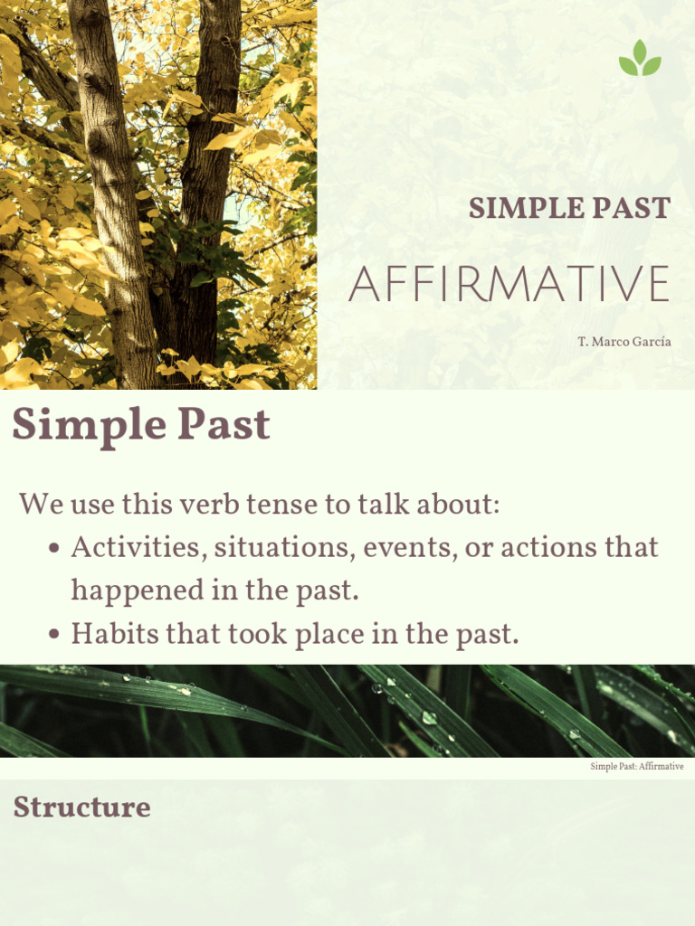 Simple Past Tense: Affirmative Guide | PDF