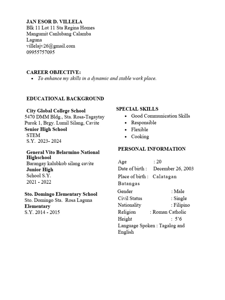 Jesus Resume 1 | PDF
