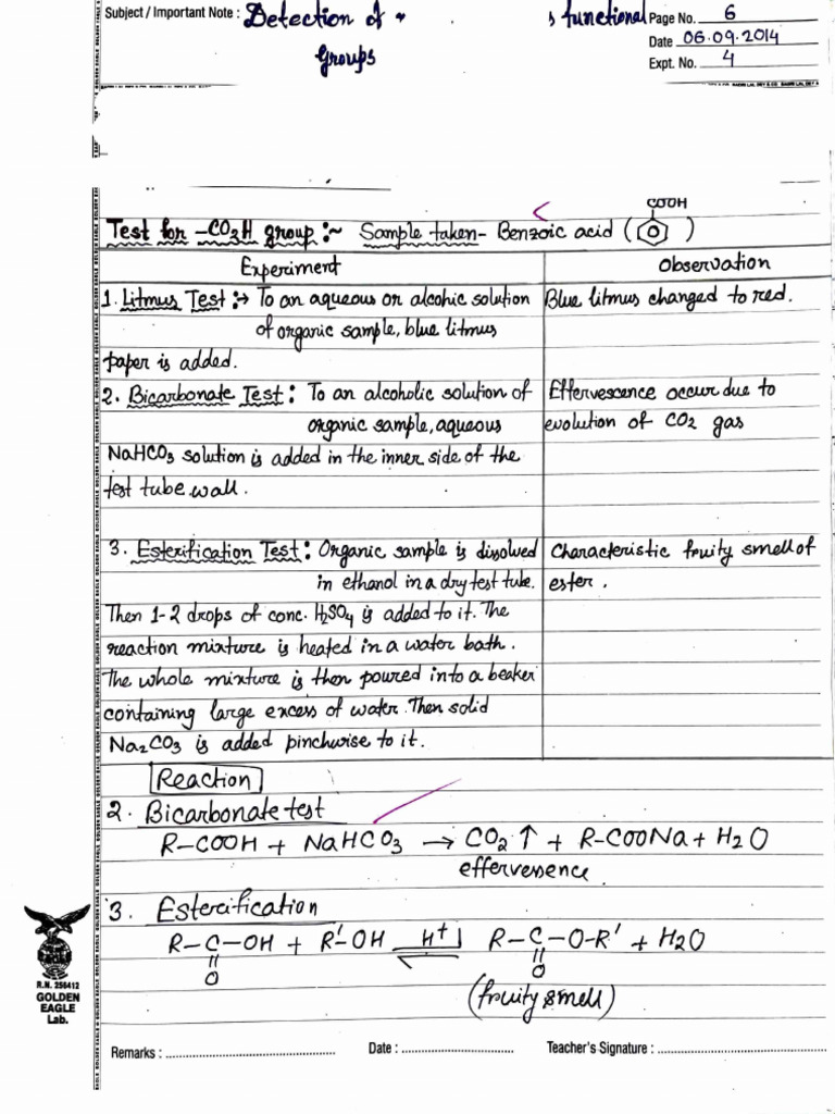 Organic Functional Group Detection | PDF