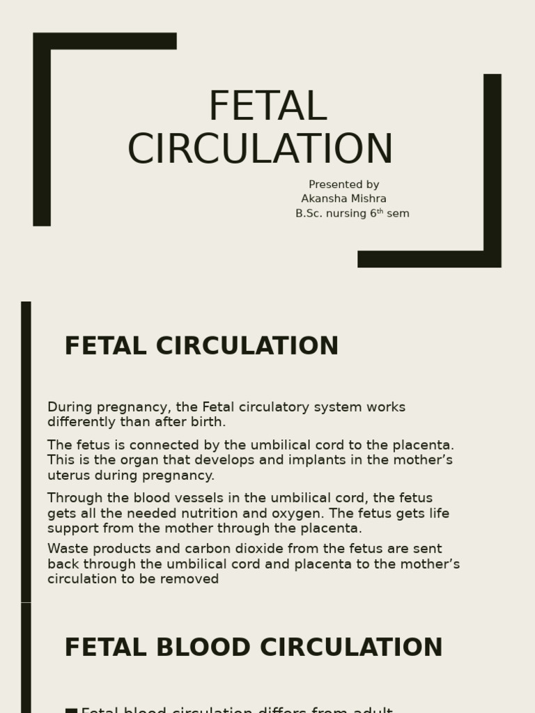 Fetal Circulation | PDF | Circulatory System | Fetus