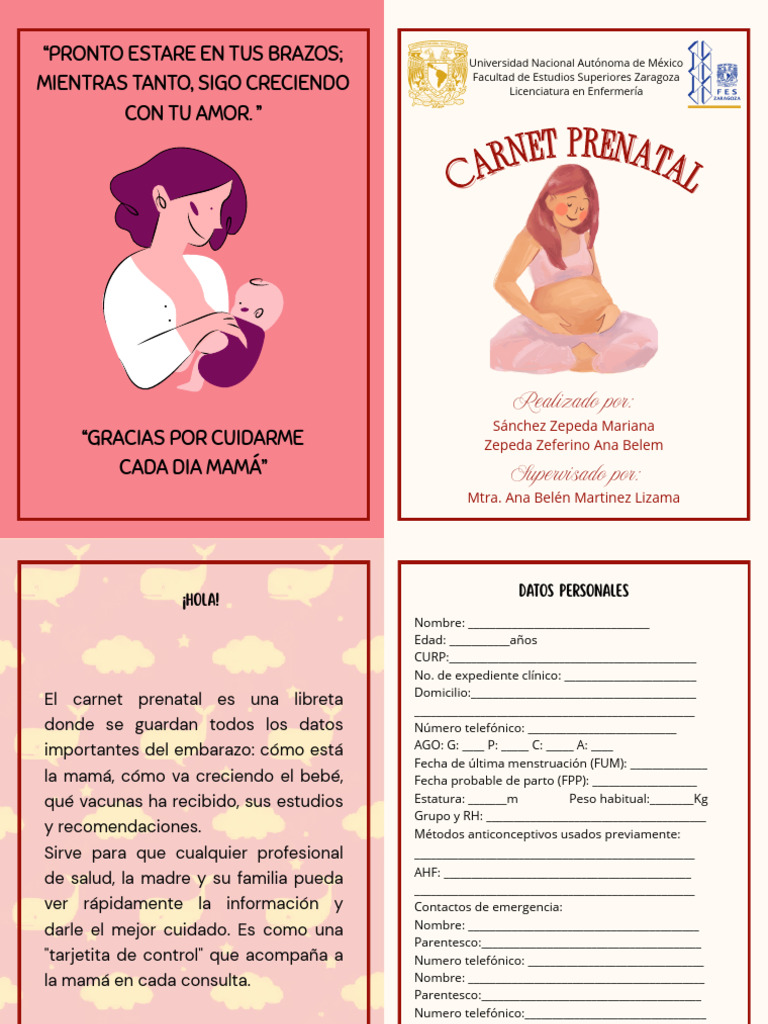 Carnet Prenatal | PDF | El embarazo | Parto
