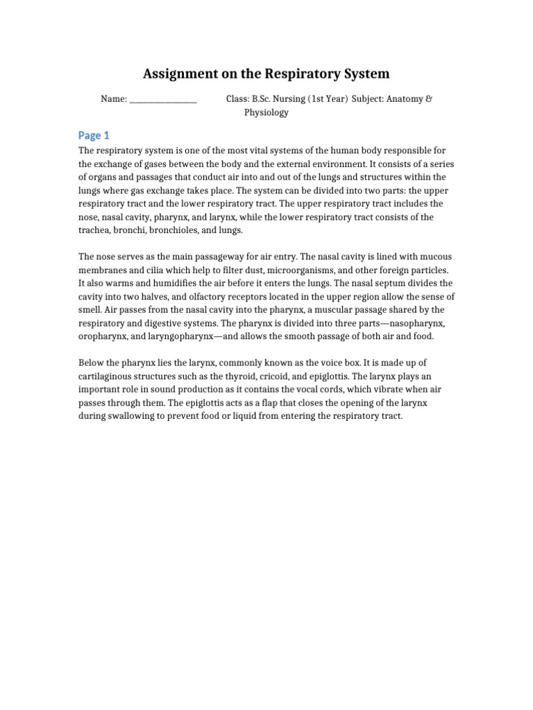 Respiratory_System_Assignment | PDF | Lung | Respiratory Tract