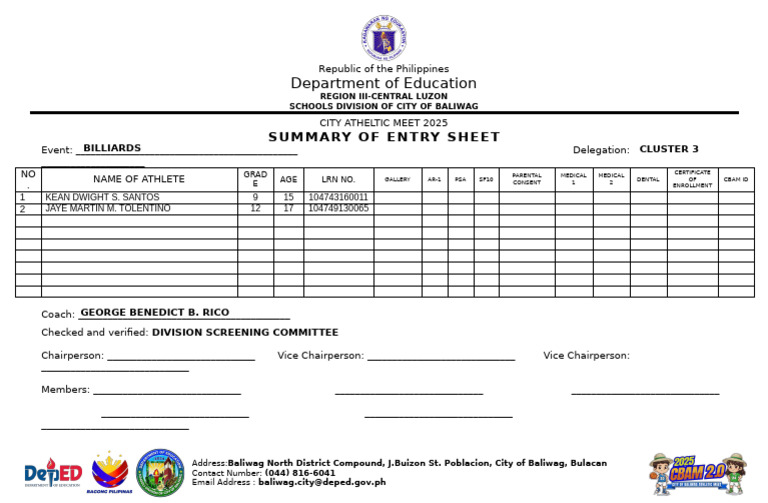 Summary of Entry Sheet CBAM 2025 | PDF