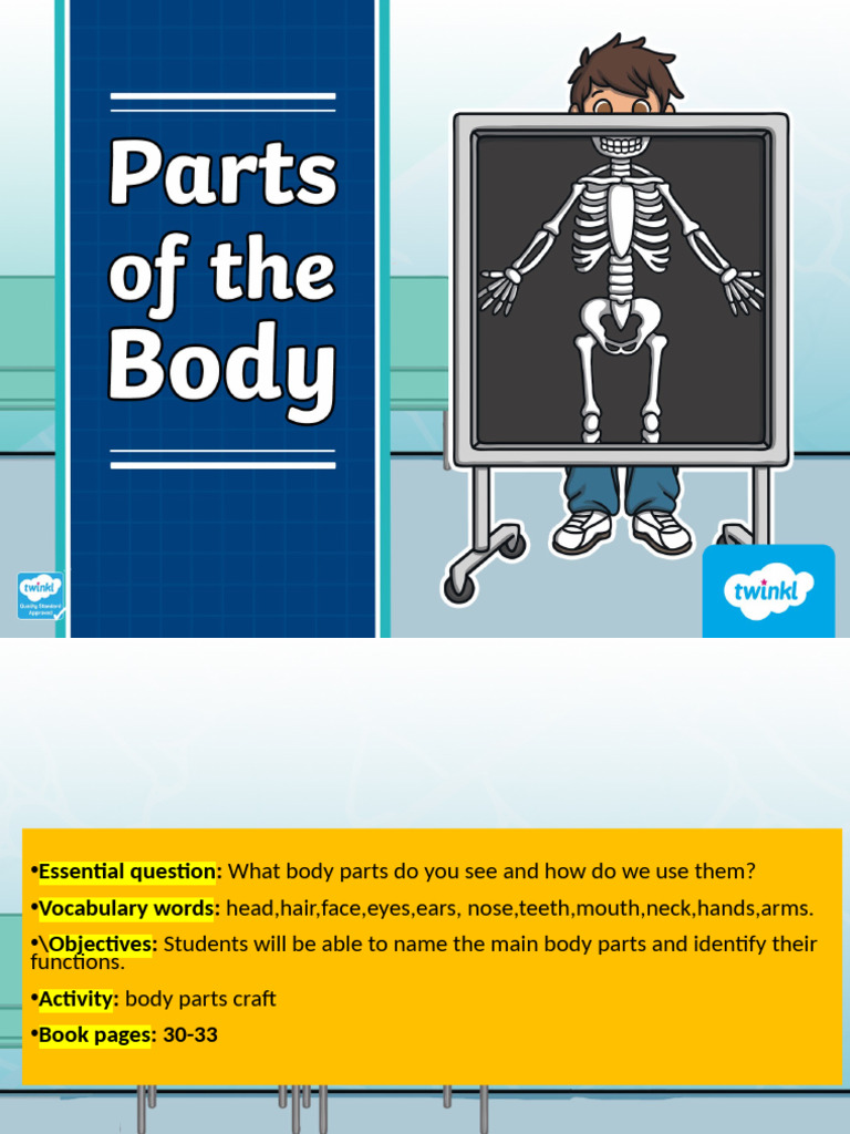 Parts of The Body PowerPoint | PDF