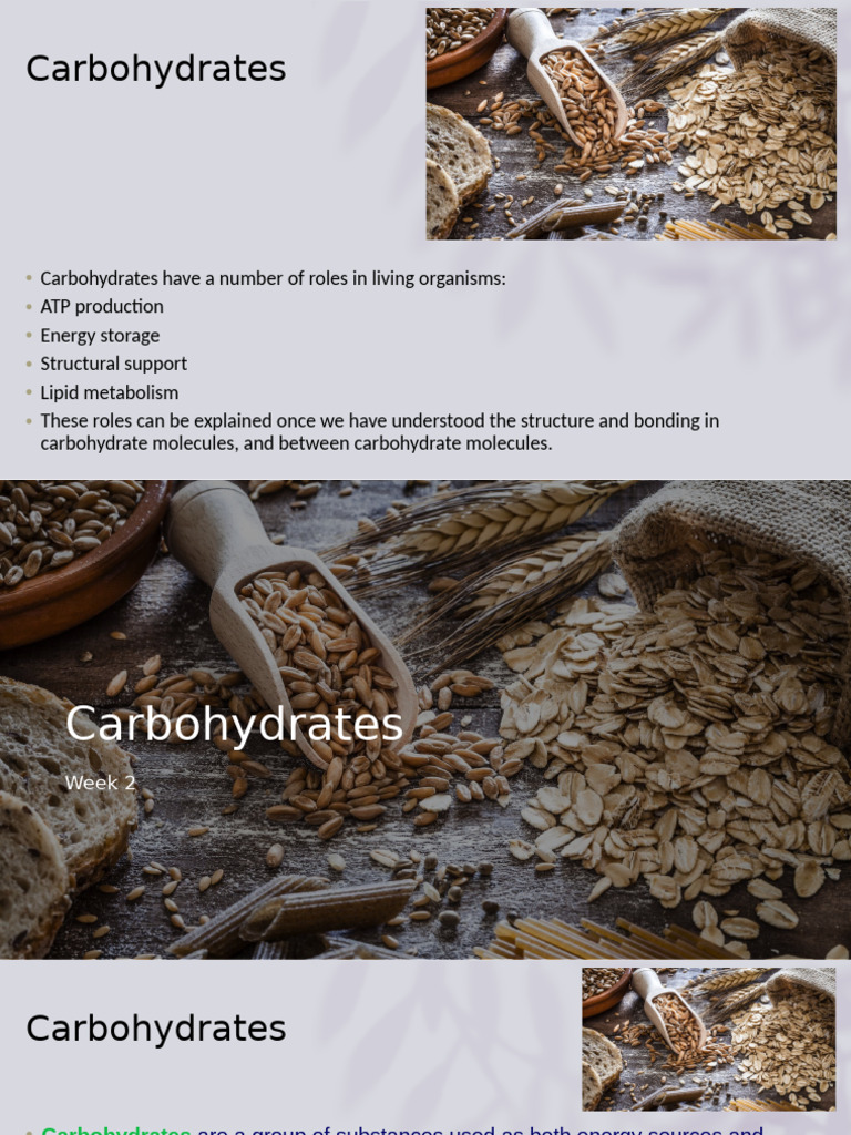 Lesson 2-Carbohydrates | PDF | Carbohydrates | Polysaccharide