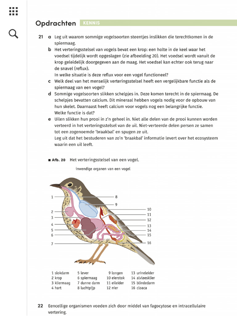 Malmberg - 606850_BVJ_6VWO_LOB_Bladerboek - Pagina 28-29 | PDF