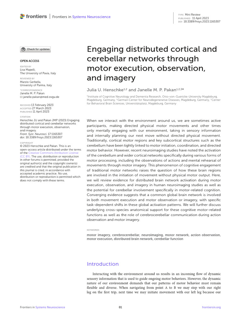 Engaging Distributed Cortical and Cerebellar Networks Through Motor ...