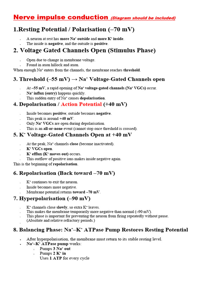 Nerve Impulse Conduction | PDF
