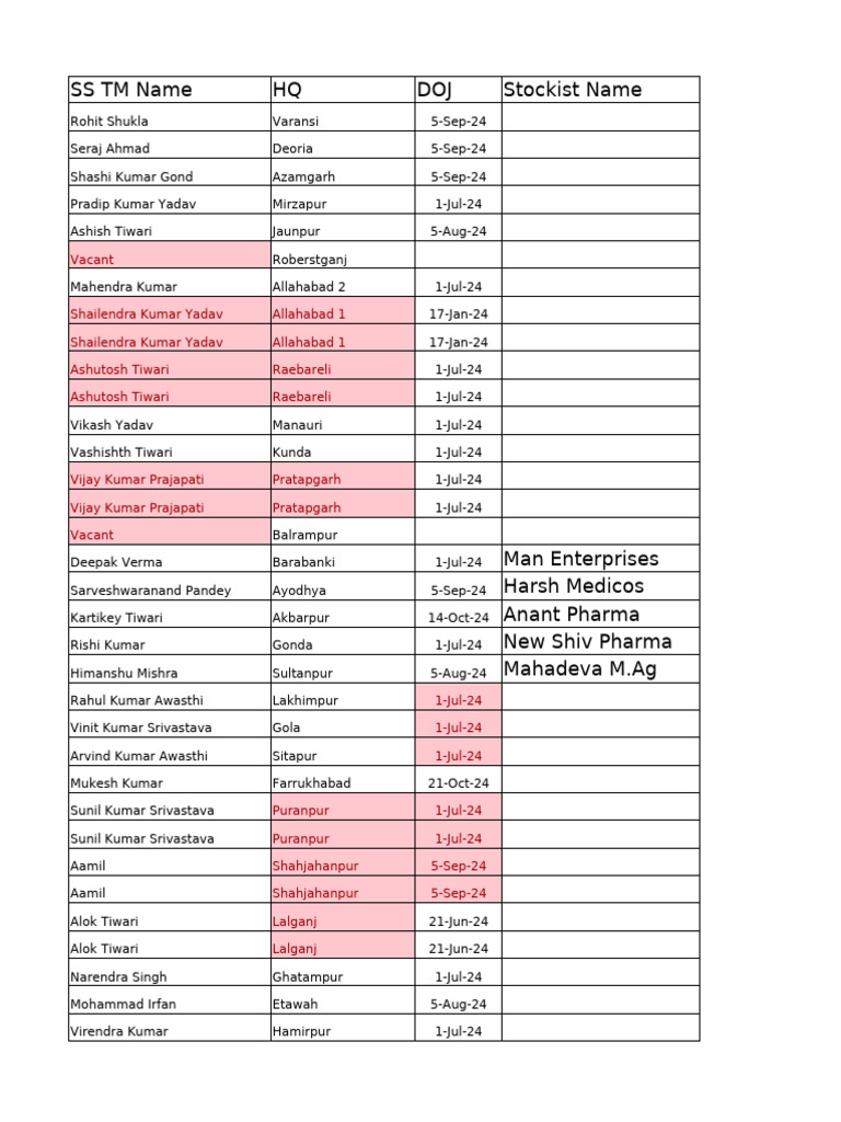 Stockist and Sales Data Overview | PDF