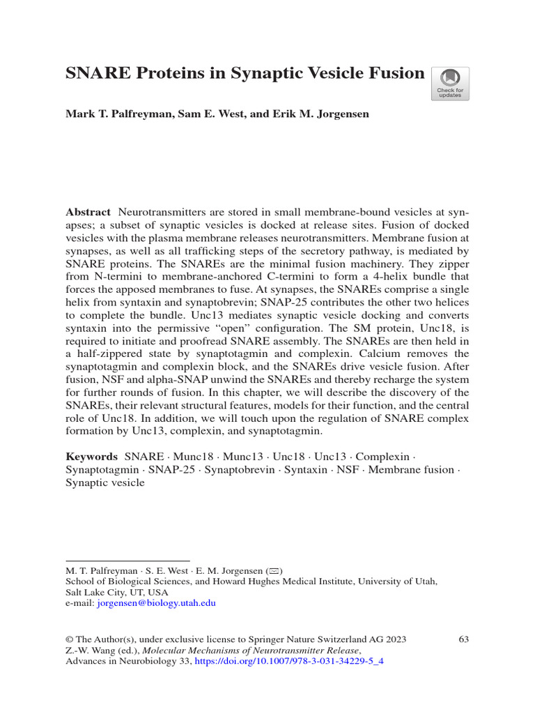 SNARE Proteins in Vesicle Fusion | PDF | Vesicle (Biology And Chemistry ...