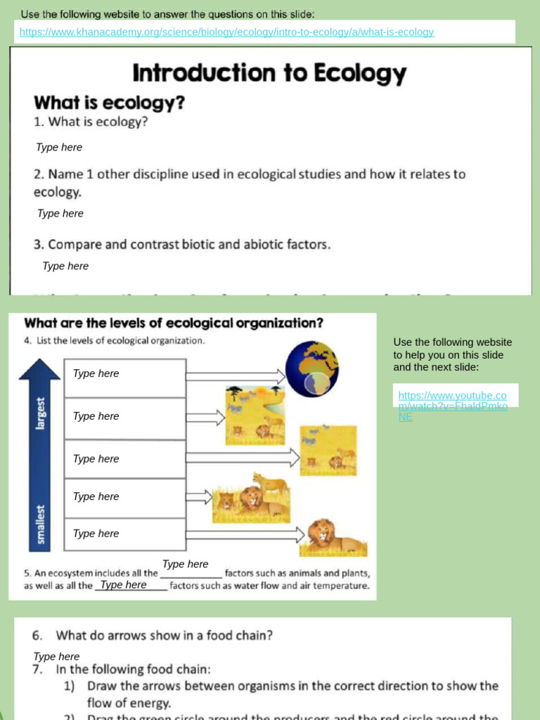 Ecology WebQuest | PDF