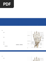 Ball Catcher's View X-Ray Technique | PDF