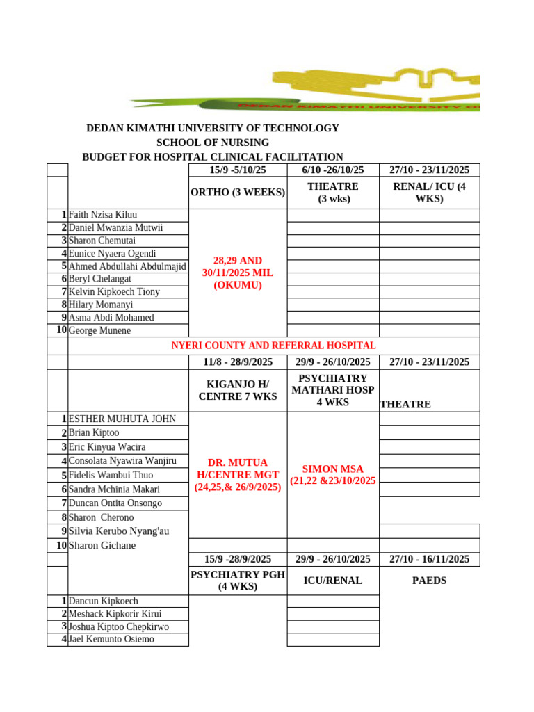 Dedan Kimathi University Nursing Budget | PDF