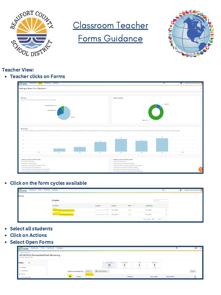 Classroom Teacher Forms Guidance | PDF