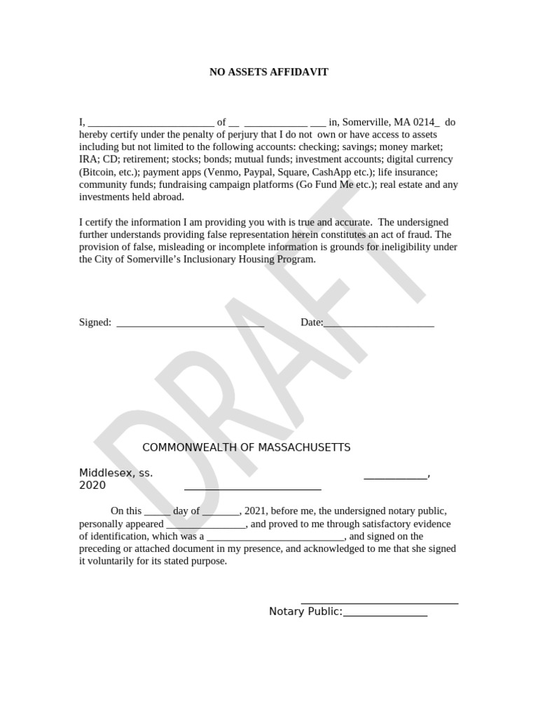 Form No Assets Affidavit 20250304 | PDF