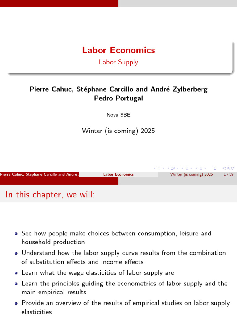 Understanding Labor Supply Economics | PDF | Labour Economics | Economics