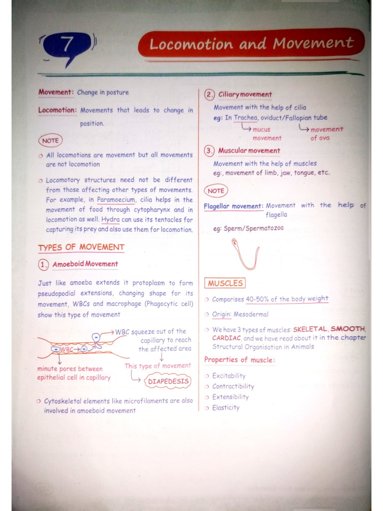 Locomotion and Movement | PDF