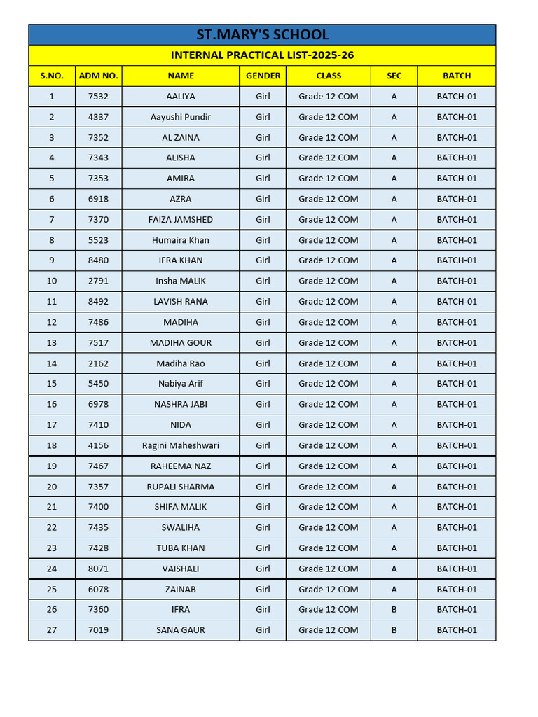 12 Comm Internal Practical Batch-1 | PDF
