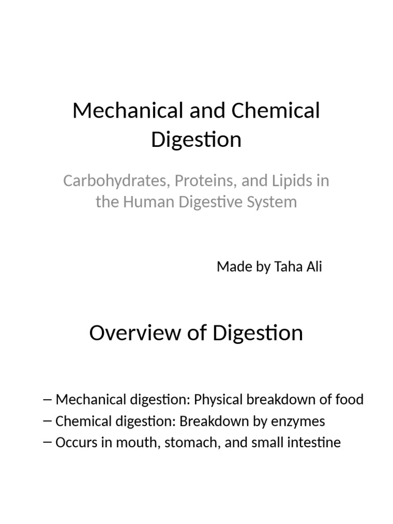Digestion - Presentation by Taha Ali | PDF
