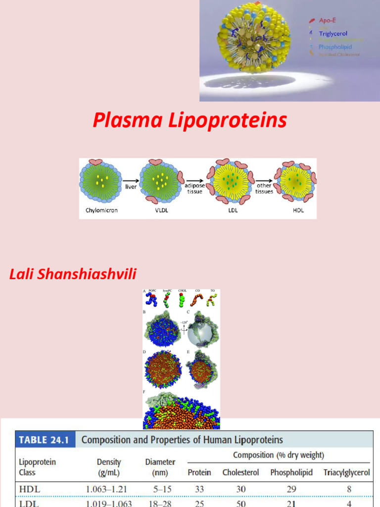 4.1.plasma Lipoproteins | PDF | Lipoprotein | Macromolecules