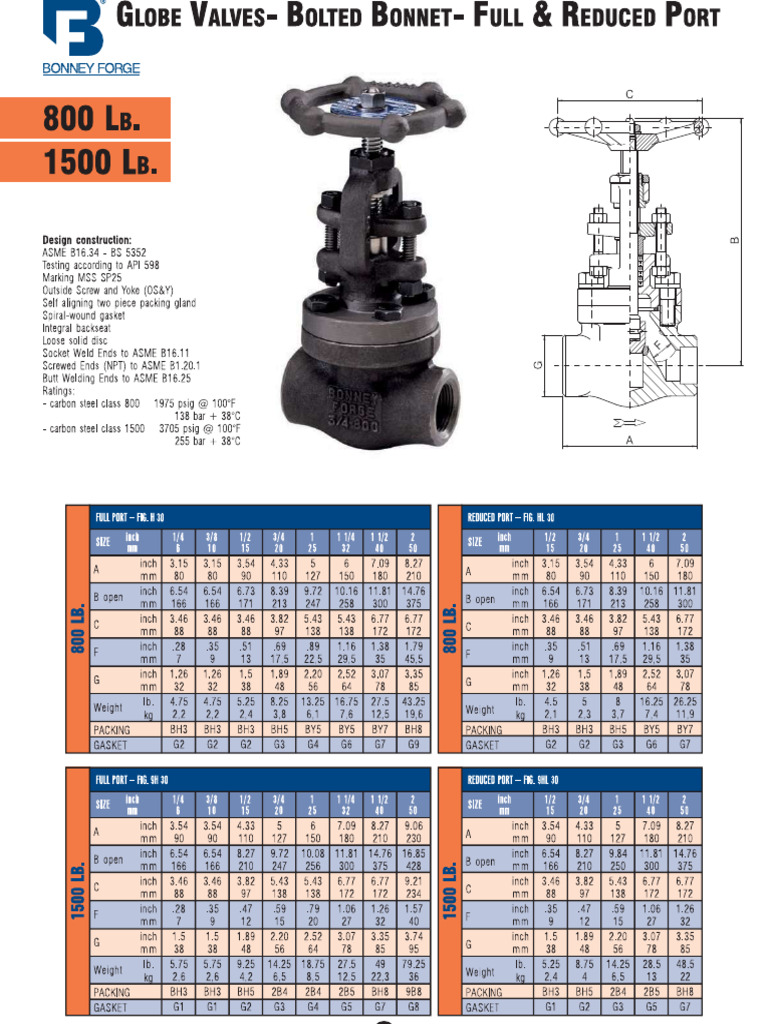 Globe Valve-Bolted Bonnet-Full Reduced Port | PDF