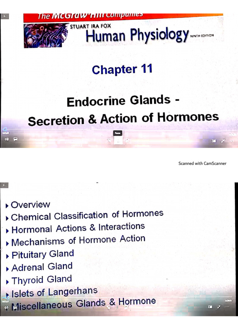 Anatomy and Physiology 1 Hormones and Endocrine | PDF