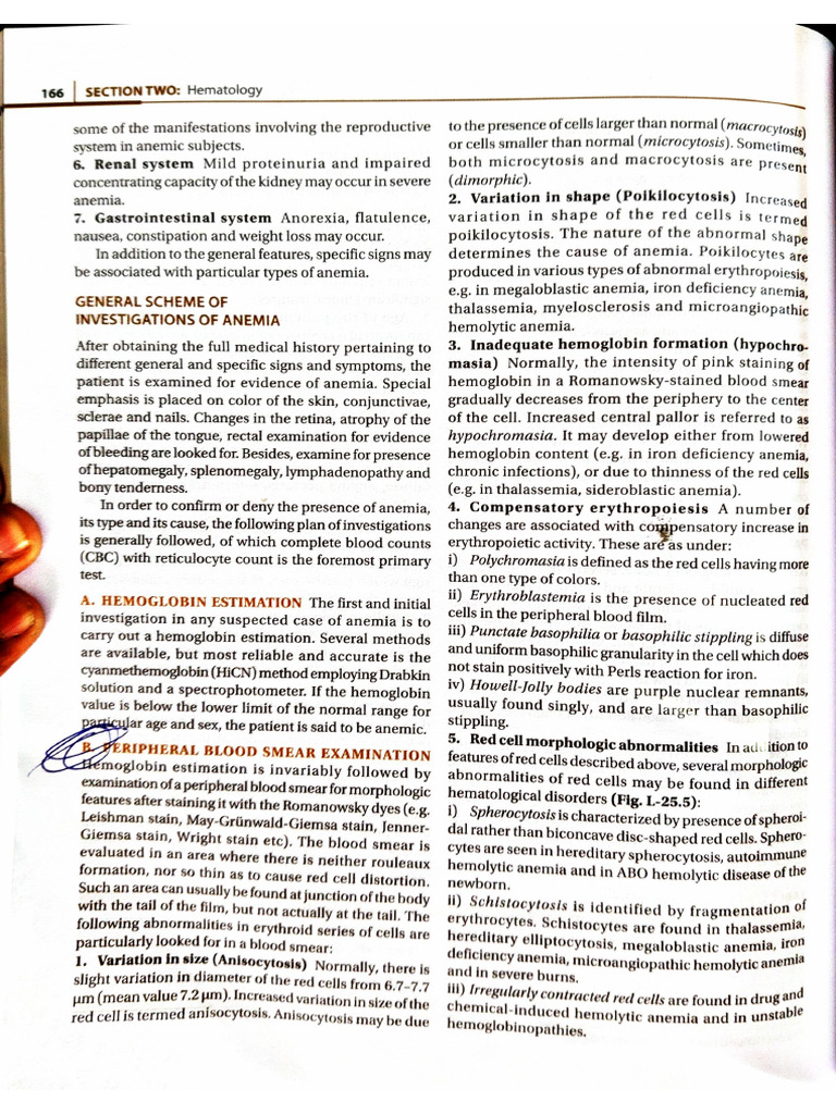 Peripheral Blood Smear Examination | PDF