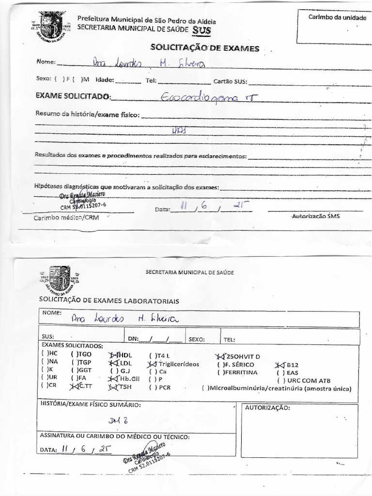 Ana Lourdes Abreu Machado Da Silveira - Imagem e Exames | PDF