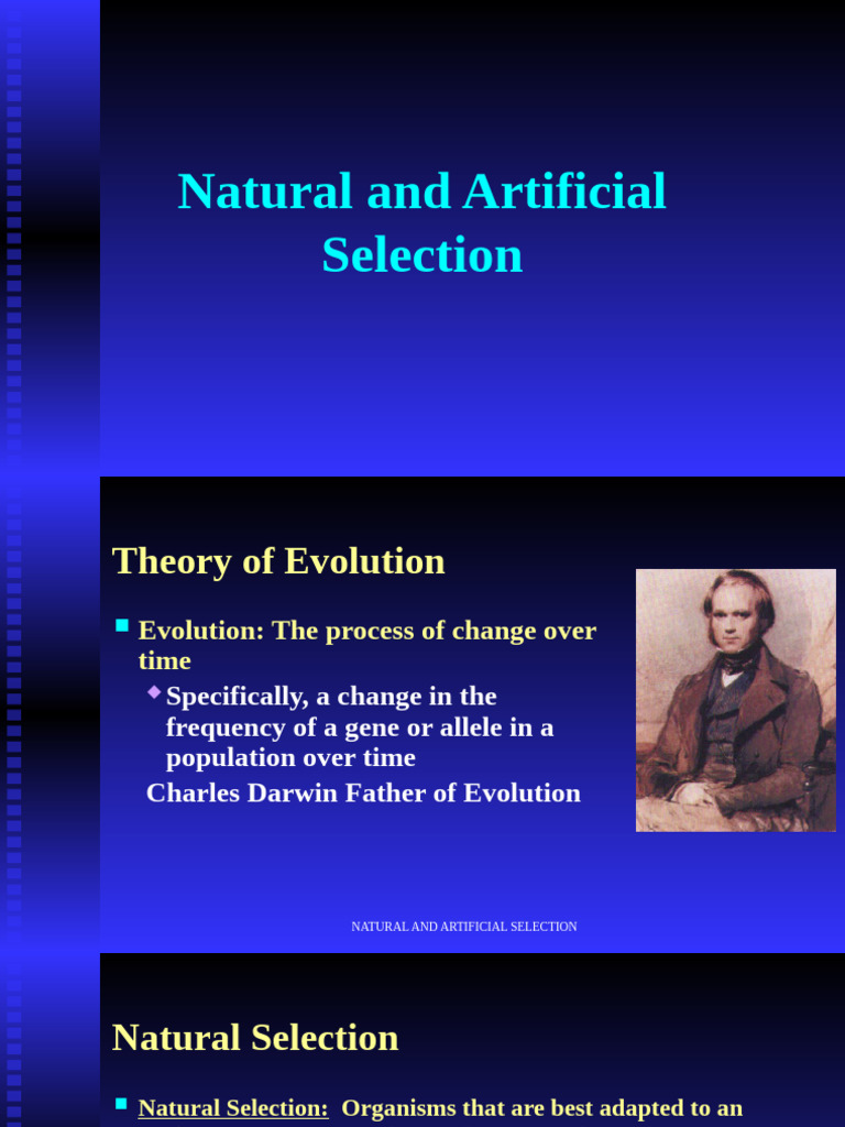 Natural vs. Artificial Selection Explained | PDF | Natural Selection ...