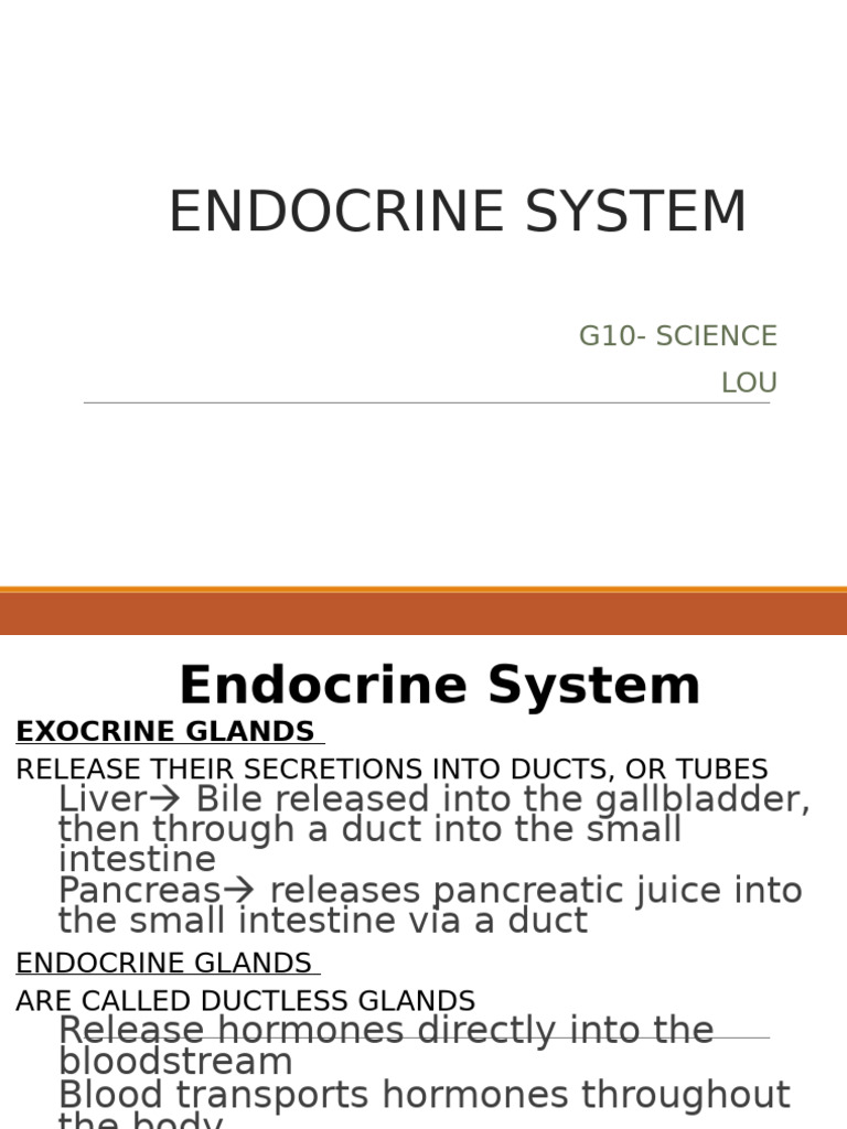 Endocrine | PDF | Pituitary Gland | Endocrine System