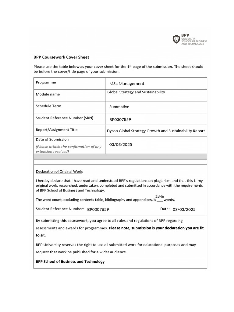 DYSON MANAGEMENT CONSULTANCY REPORT | PDF | Supply Chain | Competitive ...
