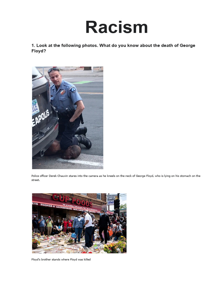 Racism Lesson 1 | PDF | Crimes | Crime & Violence
