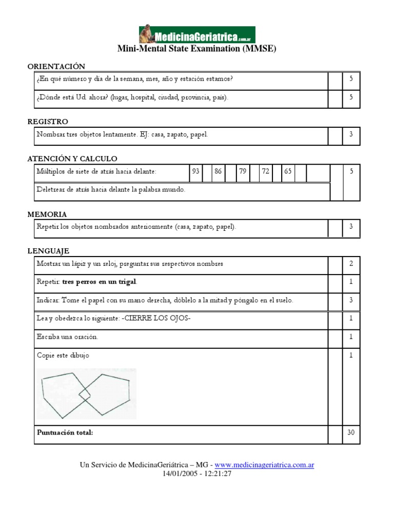 MMSE - Planilla | PDF