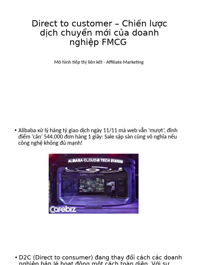 D2C Model | PDF