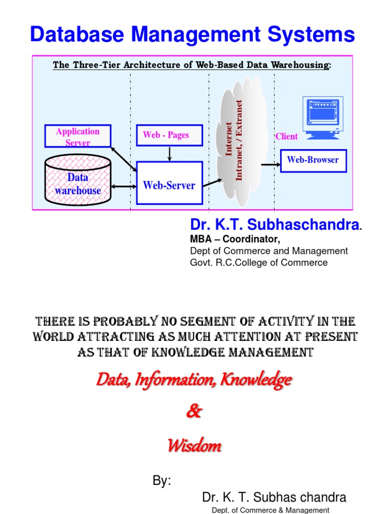 Data Information Wisdom Pdf Databases Data Warehouse