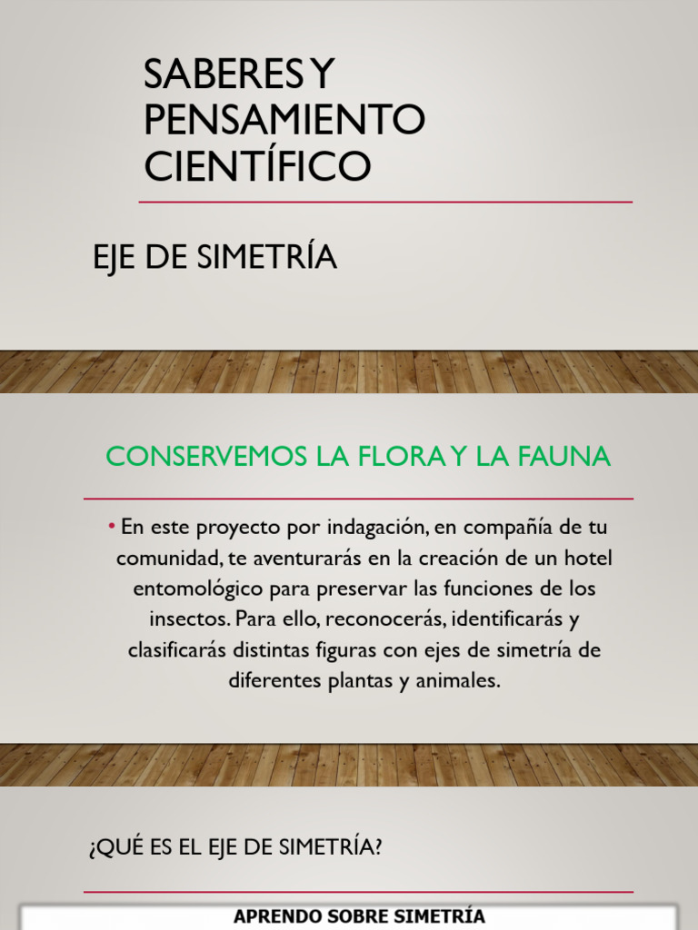 Ejes de Simetria | PDF