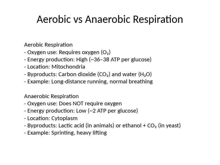 Aerobic vs Anaerobic Respiration | PDF