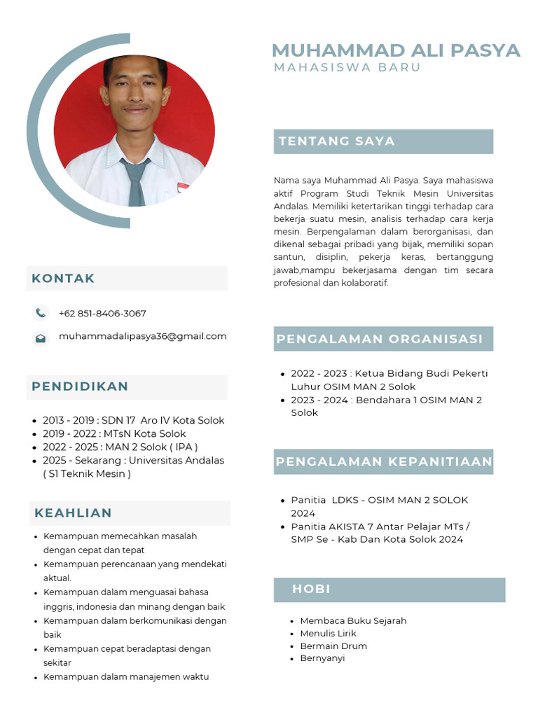 CV Muhammad Ali Pasya | PDF