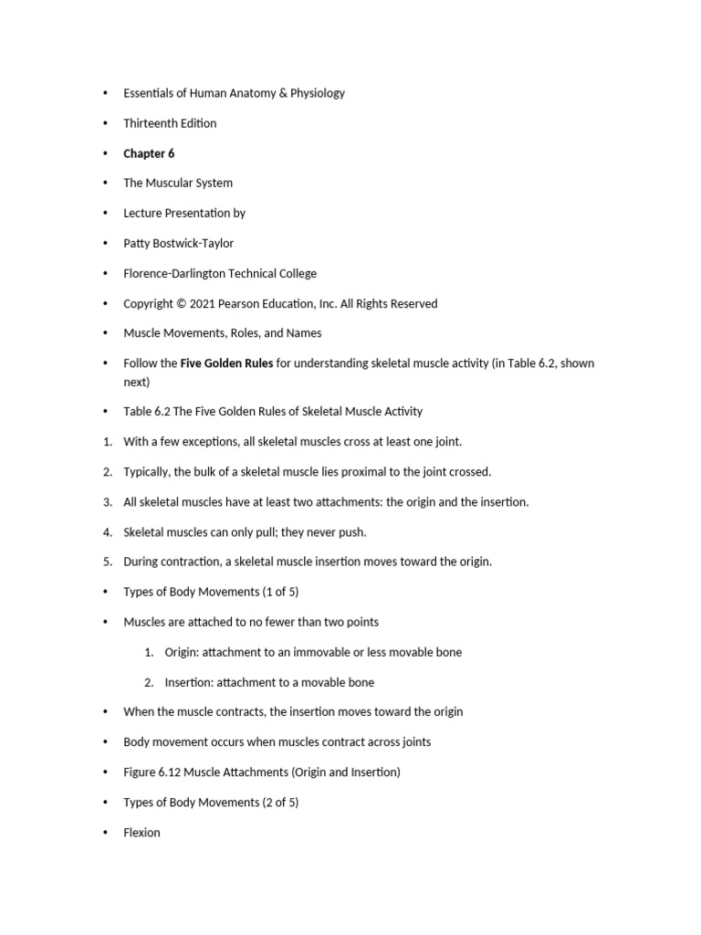 Muscular System Overview and Functions | PDF | Anatomical Terms Of ...