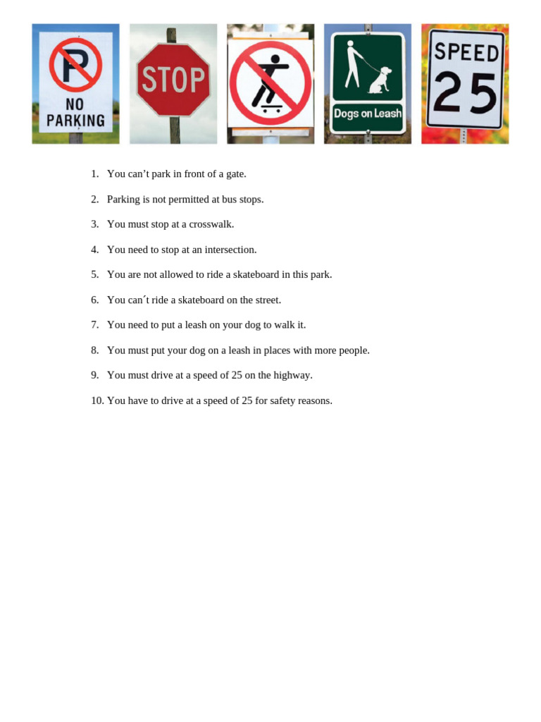 Essential Local Parking and Safety Rules | PDF