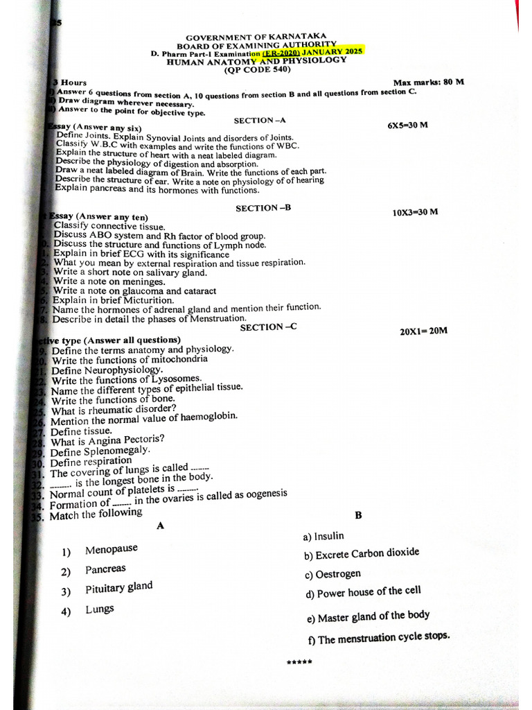 HAP Previous | PDF