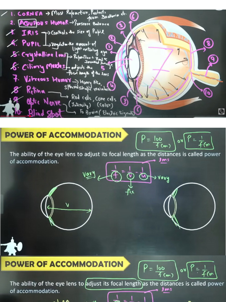 hum eye | PDF