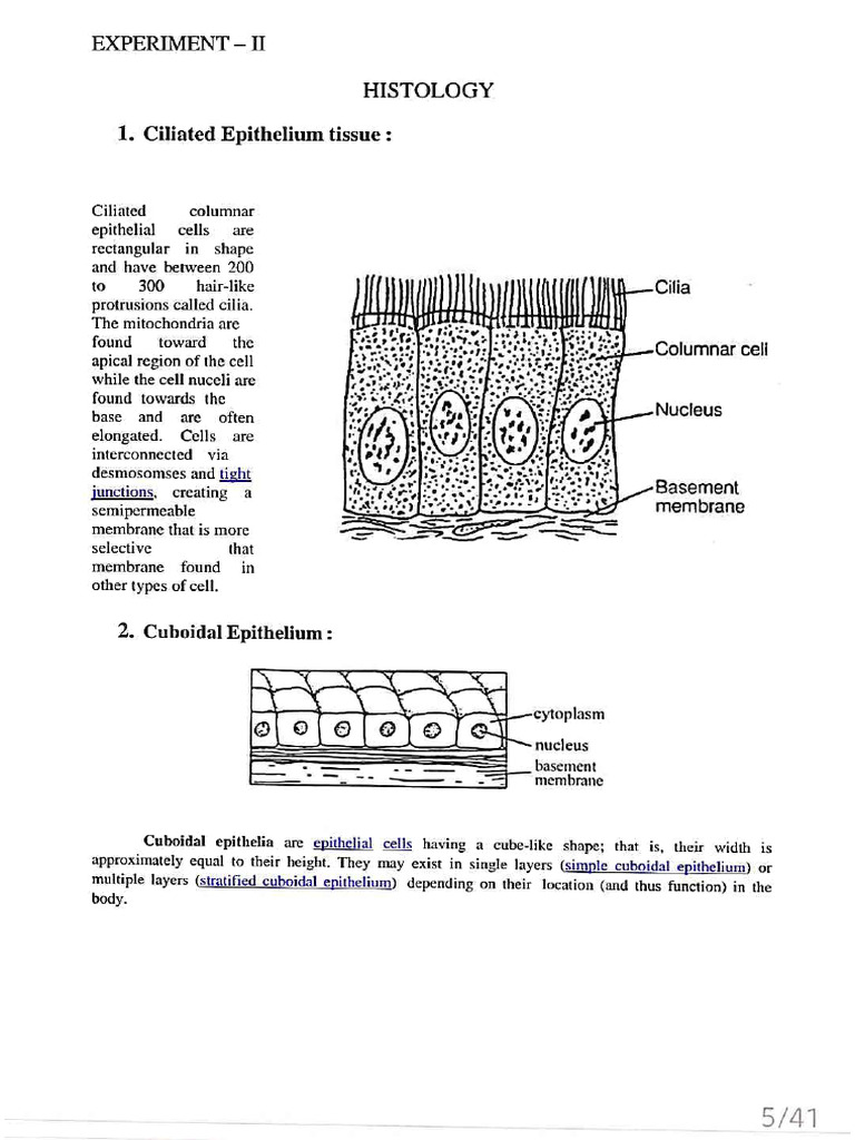 Human Anatomy and Physiology Experiment 02 | PDF